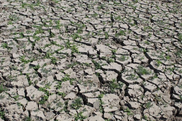 Dry weather and El Nino threat disrupt crop planting across Asia, raise ...